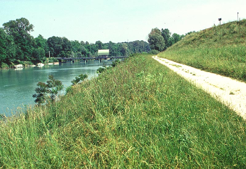 Fossalta di Piave - Terre di Venezia