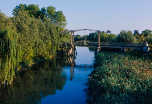 Musile di Piave - Terre di Venezia